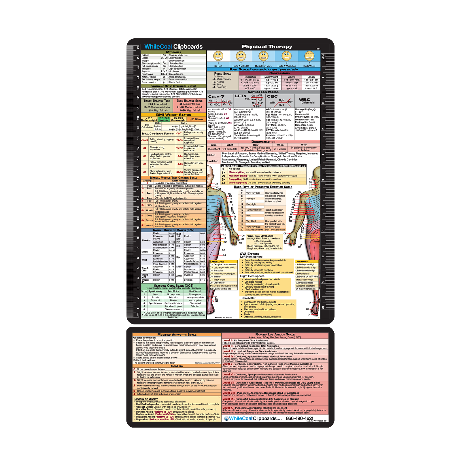 Physical Therapy Adhesive Reference Label