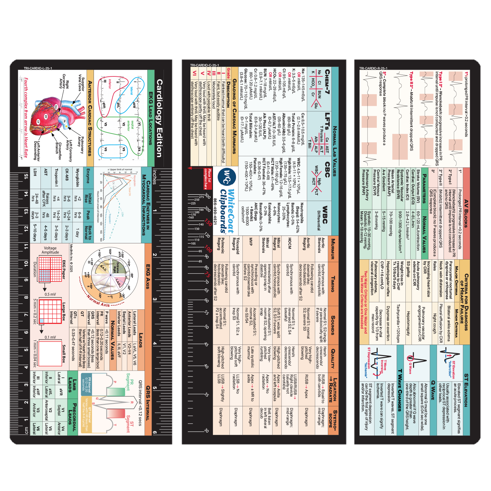 Trifold Cardiology Adhesive Reference Label